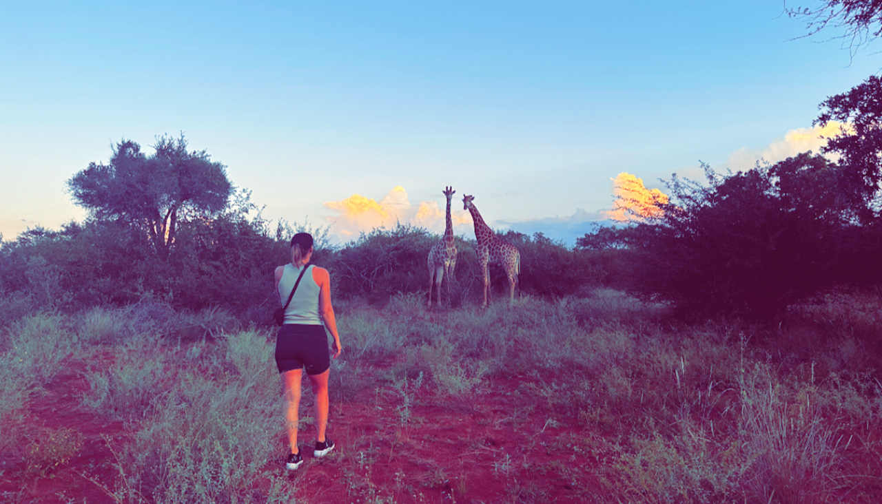 Kontakt - Temba Safari