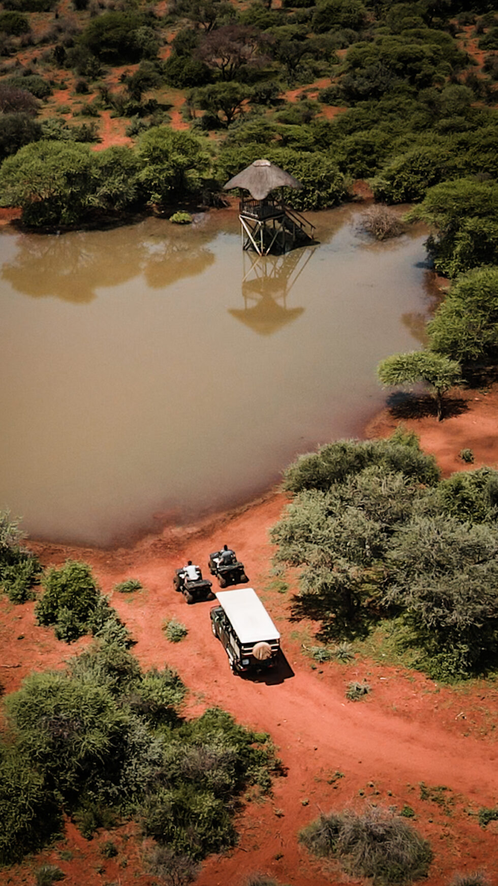 Temba Safari - Temba Safari